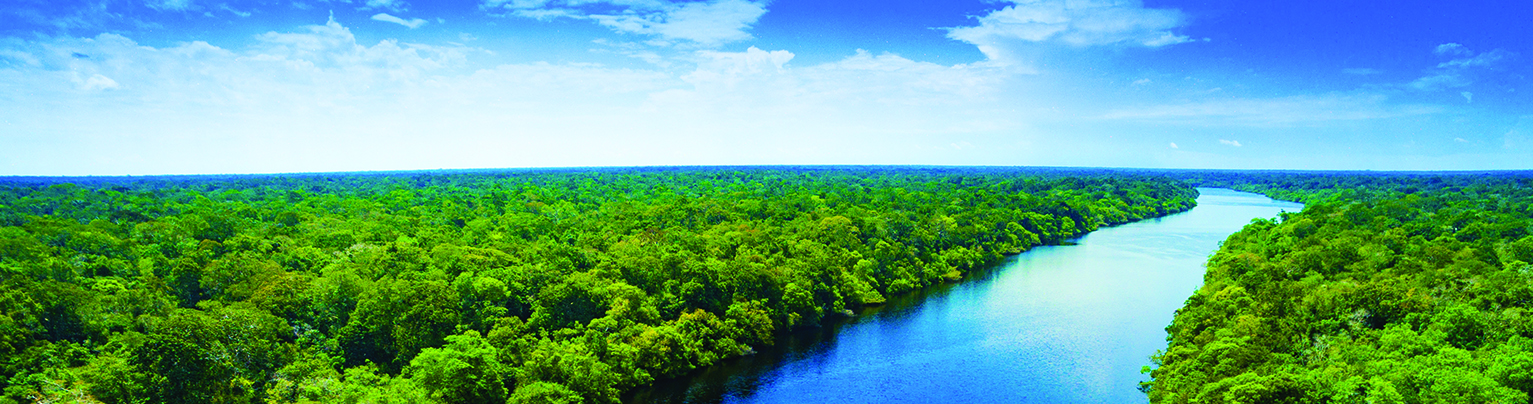 Environment and Climate Action - Avangrid