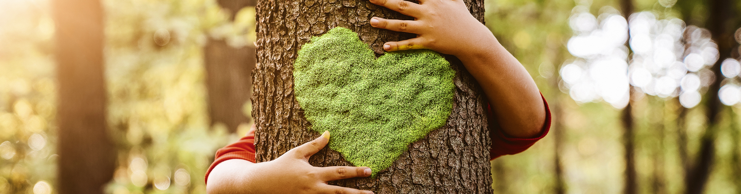 Foundation Annual Reports - Avangrid