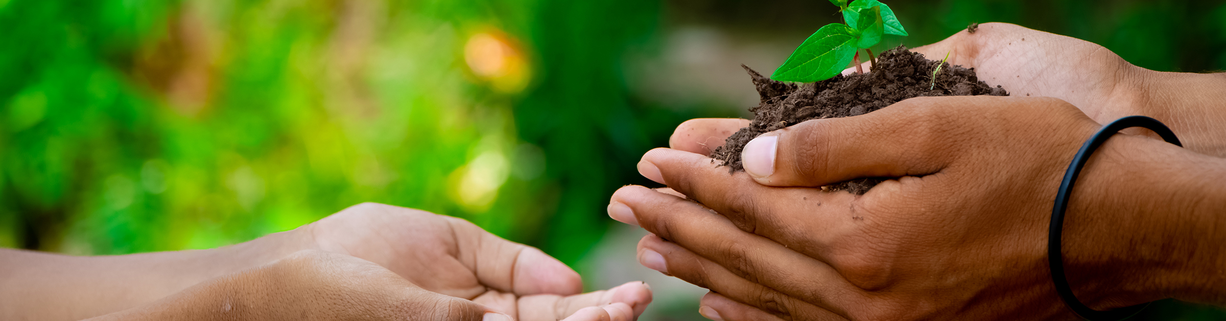 Contact the Avangrid Foundation - Avangrid