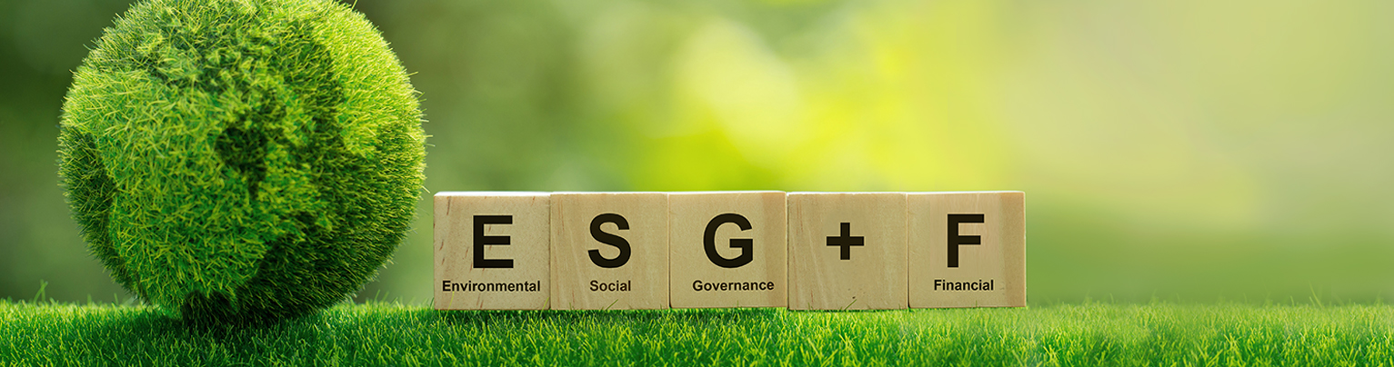 Governance - Avangrid